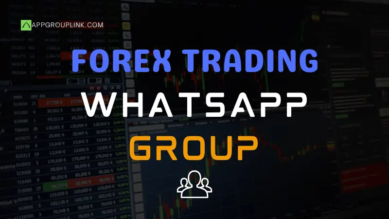 250+ Forex Trading WhatsApp Group Links - 100% Active Groups